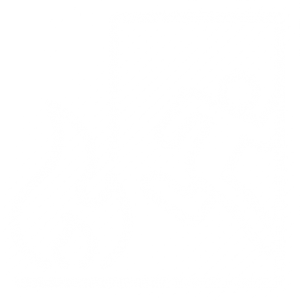 Joint Security Services